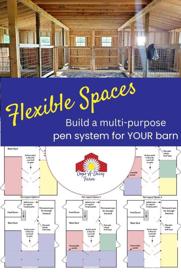 Livestock Barn Layout: Building Flexible Pen Space - Oops-A-Daisy Farm