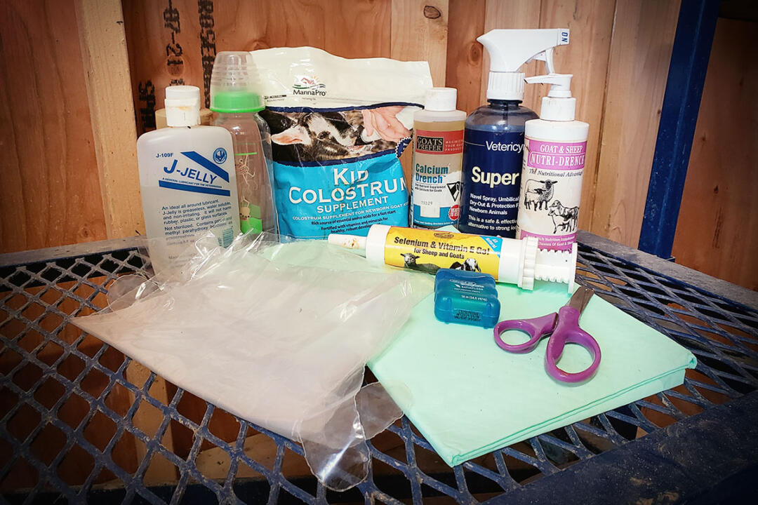 Assemble Your Kidding Kit - Items You Need Before Your Goat Gives Birth ...