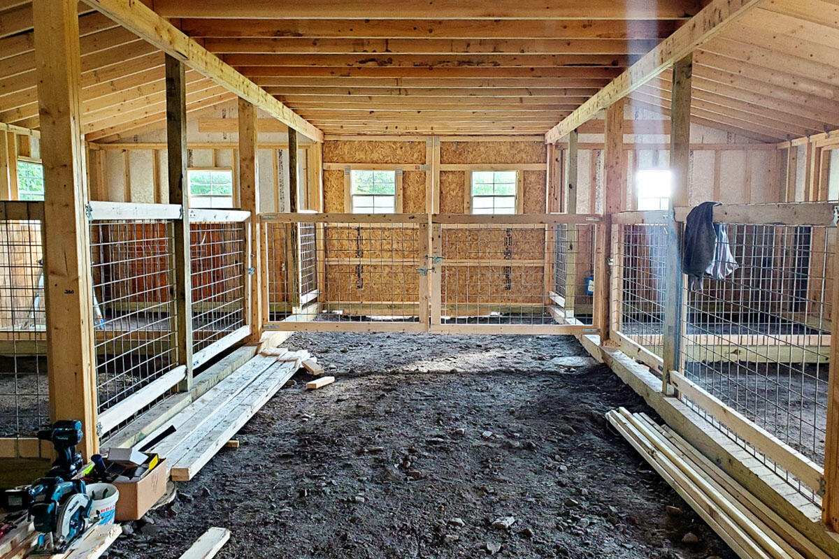 Livestock Barn Layout: Building Flexible Pen Space - Oops-A-Daisy Farm