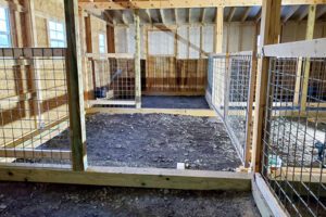 Livestock Barn Layout: Building Flexible Pen Space - Oops-A-Daisy Farm