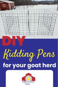 DIY Goat Kidding Pens - Oops-A-Daisy Farm