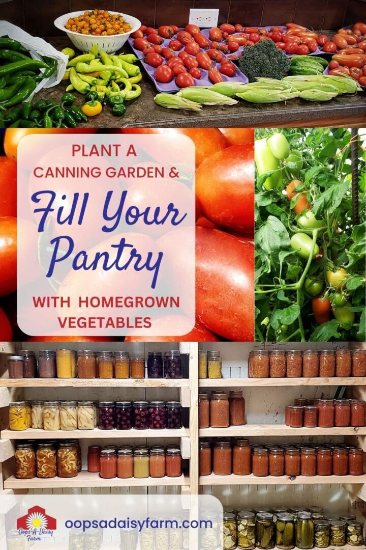 Planting A Canning Garden - Oops-A-Daisy Farm