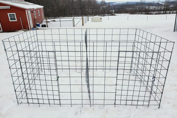 Livestock Barn Layout: Building Flexible Pen Space - Oops-A-Daisy Farm