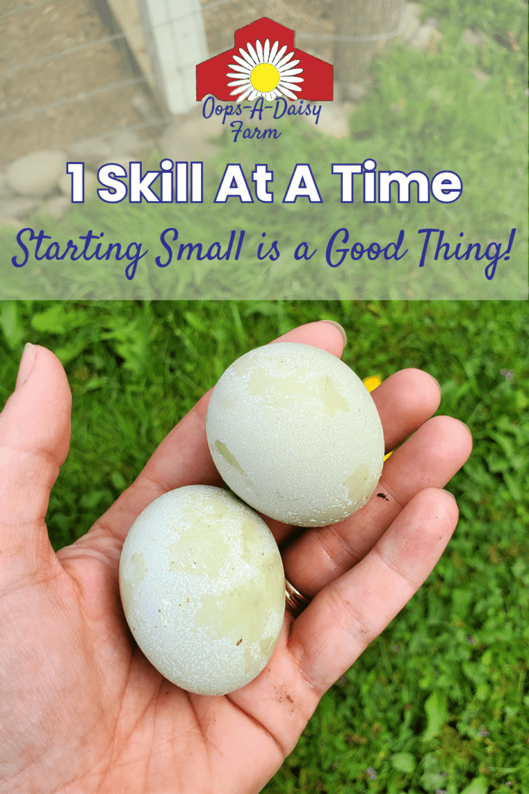 Learning As You Grow - It's Okay to Start Small!